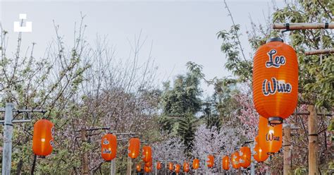 등불이 늘어선 구불구불한 길 사진 Unsplash의 무료 야외 이미지