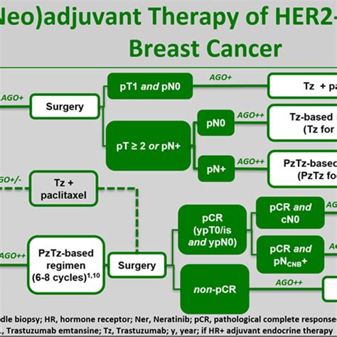 Current Treatment Algorithm For HER2 Positive EBC By The AGO Breast