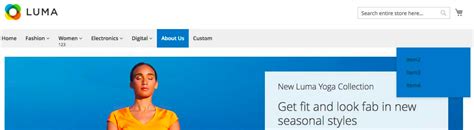 How To Set A Submenu In Multiple Positions Using Ninja Menus Magezon