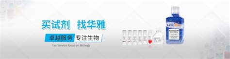 Bd 554722 Bd Cytofixcytoperm™ 固定透化溶液 上海华雅思创生物科技有限公司
