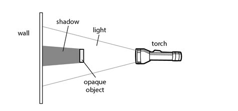 Energy Primary Connections