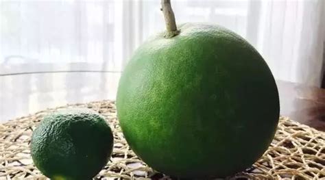 肠结核与克罗恩病的病理鉴别诊断 搜狐