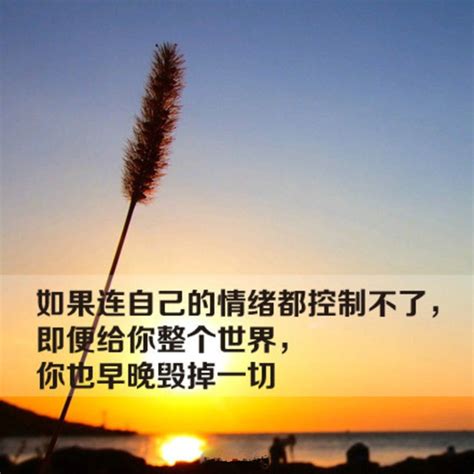 你就是你个性文字图片