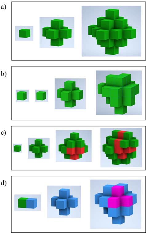 examples of cell proliferation and cell cell interactions along