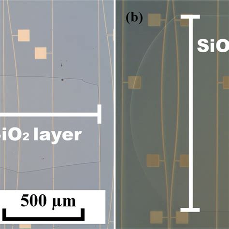 Color Online A Sio 2 Etch Stop Feature Remaining On The Wafer After Download Scientific