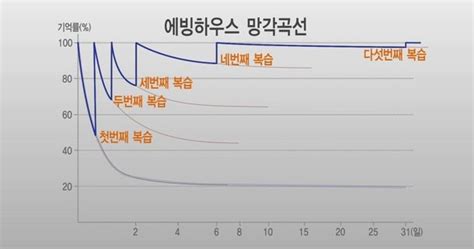 에빙하우스의 망각곡선 가락동문정동 위례 연세수학원