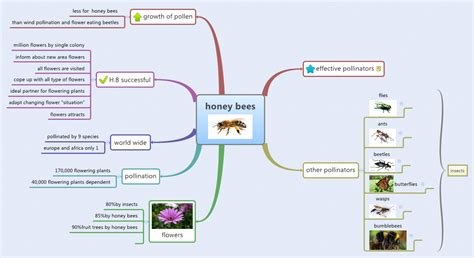 Xmind Share Xmind Mind Mapping App