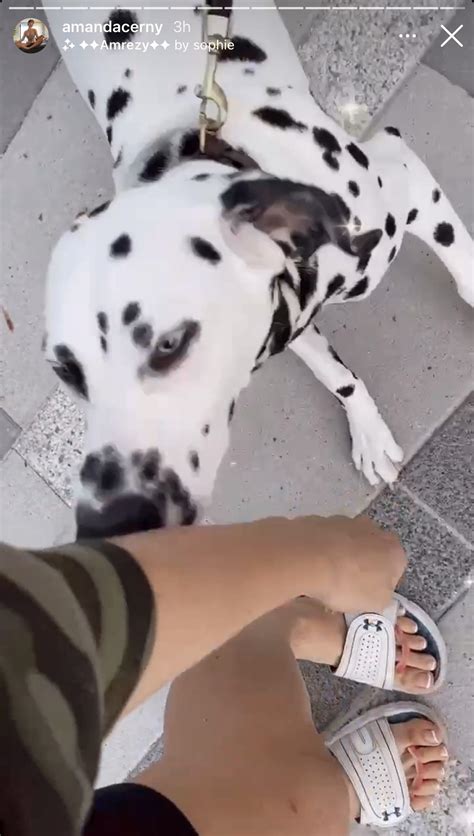 Amanda Cerny Scrolller