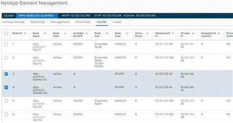 Remove Witness Nodes After Expanding Cluster