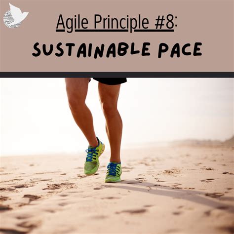 Principle 8 Ensuring Sustainable Pace The Agile Way Snowbird Agility