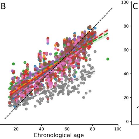 Brain Age Prediction Using The Selected Cnn Vgg16 Based Deepbrainnet