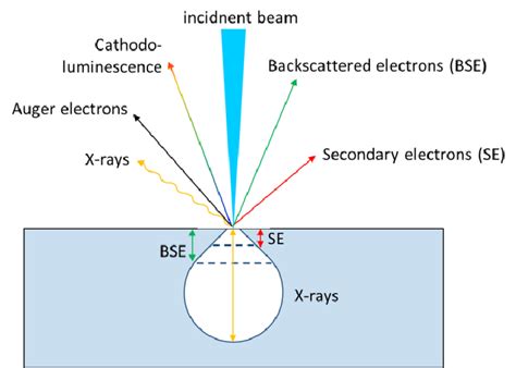 7 Interaction Volume And Typical Signals Generated In Sem Adapted From