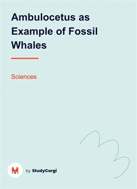 Ambulocetus As Example Of Fossil Whales Free Essay Example