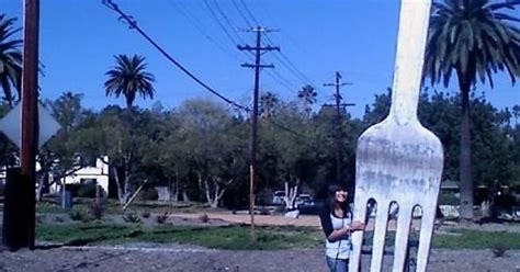 This Was Taken Three Years Ago But I Can Finally Use It In Response To The Dad With A Giant Fork