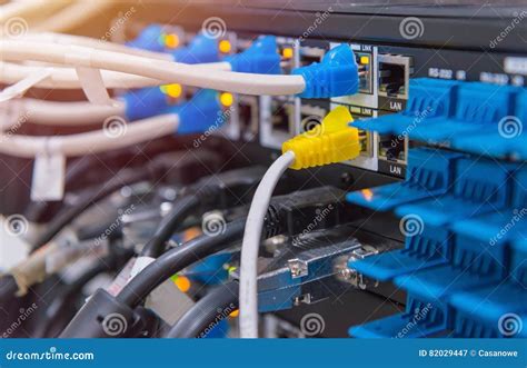 Lan Cable Connect To Network Switch For Internet Or Ethernet Stock Image Image Of Connection