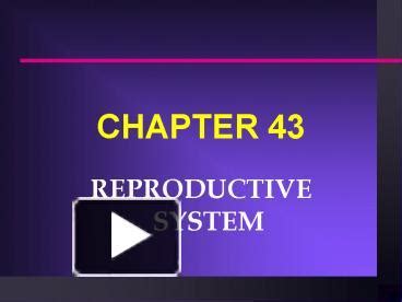 Ppt Reproductive System Powerpoint Presentation Free To View Id