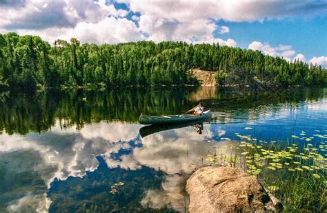 The Boundary Waters Canoe Area Wilderness Mn Trips