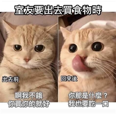 想吃為什麼不早說 梗圖板 Dcard