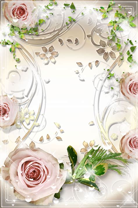 トップレート 白薔薇 イラスト イラスト画像ギャラリー