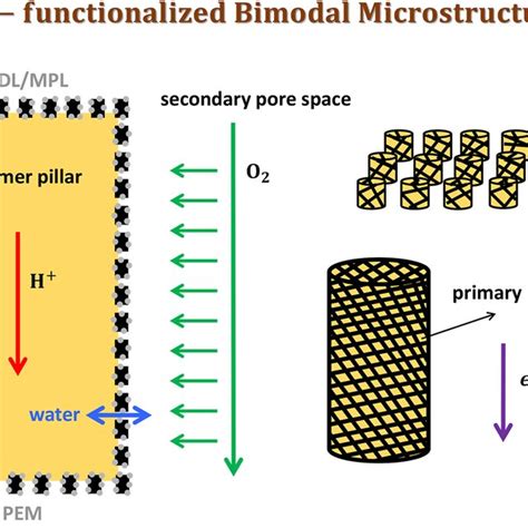Schematic Of A Bi Functionalized Bimodal Cathode Cl Microstructure With Download Scientific