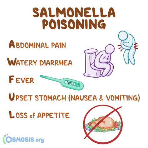 Salmonella Outbreaks Causes Symptoms Treatment 41 Off