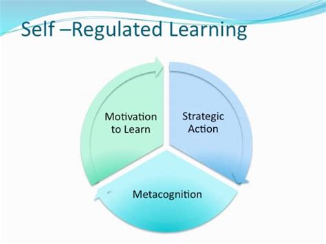 How To Be A Self Regulated Learner Hubpages