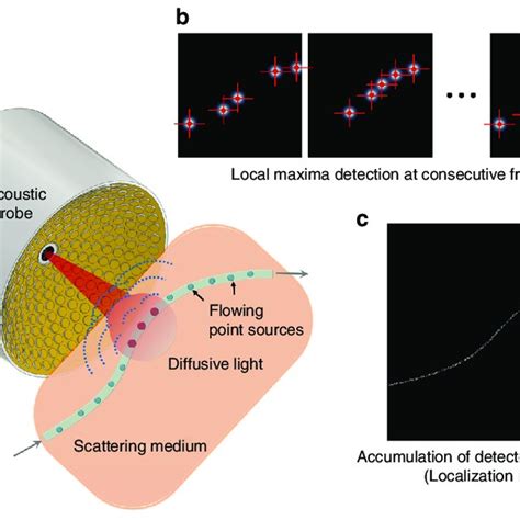 Imaging Principles Of Localization Optoacoustic Tomography A A