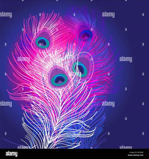 Handsome Peacock Stock Vector Images Alamy