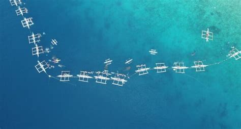 조인투어 세부 오슬롭 고래 상어 투어 And 투말록 폭포 투어