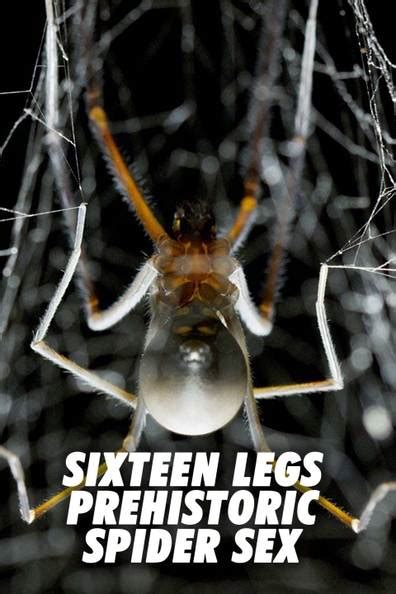 How To Watch And Stream Sixteen Legs Prehistoric Spider Sex 2023 2023 On Roku