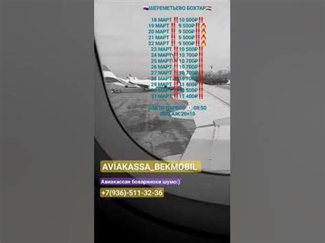 17 март Нархи билетхо аз Шереметьево - Бохтар моҳи март #dushanbe #tj # ...