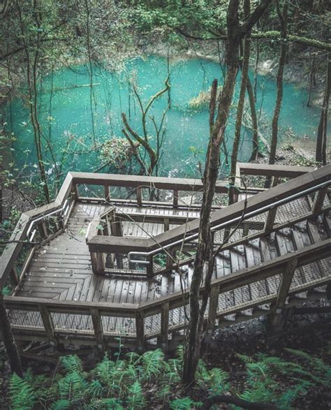 Explore Devils Millhopper Geological State Park