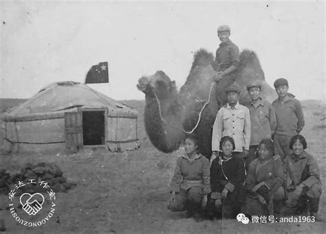 记忆永存——苏尼特左旗北京知青老照片的故事 安达工作室 草原元素 蒙古元素 Mongolia Elements