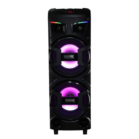 China Factory Private Model Double 12 Inch Woofer PRO Audio PA Cabinet Speaker Portable Speaker