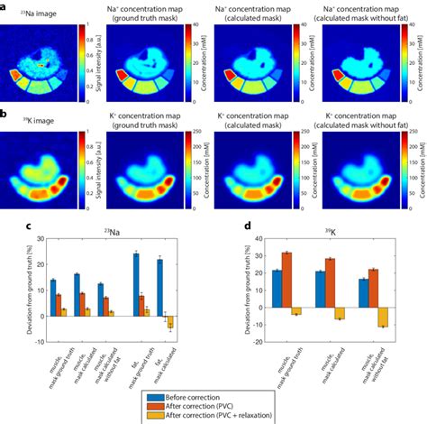 38 Simulation Results For The Male Lower Leg Model A Simulated 23