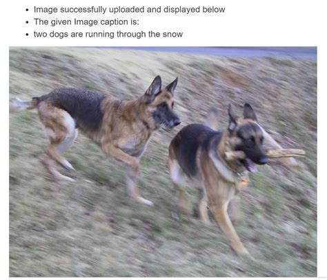 github pradhandebasish2046 image caption generator with cnn lstm automatically generating the