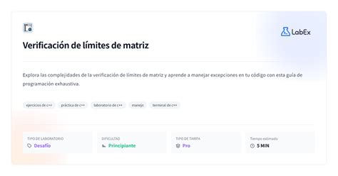 Verificación De Límites De Matriz Labex