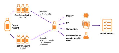 Stable Ground—the Importance Of Stability Testing For Custom Gmp Reagents