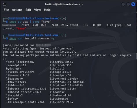 Установка Openvas на Kali Linux