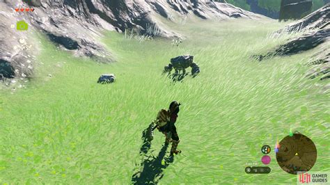 Stone Pebblit The Legend Of Zelda Tears Of The Kingdom Database