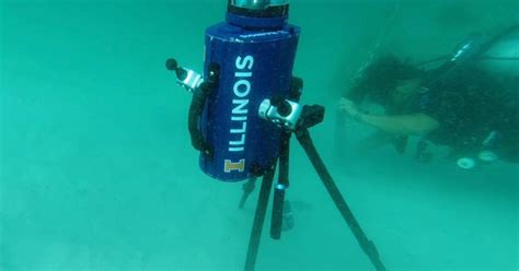 Sunlight Polarization Patterns May Be An Underwater Substitute For Gps