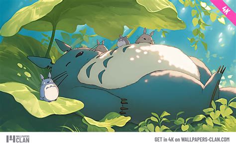 Totoro Cute Wallpaper