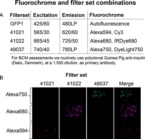 Near Infrared Optical Projection Tomography For Assessments Of β Cell Mass Distribution In