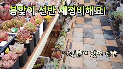 다육생활 끝나야 정리정돈도 끝날까요😁뒷사이드 선반 앞으로 모셨습니다🥰 Youtube