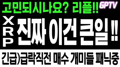 진짜 리플 엑스알피 전망 💥 고민되시나요 리플 Xrp 진짜 이건 큰일 긴급급락직전 매수 개미들 패닉중 Youtube
