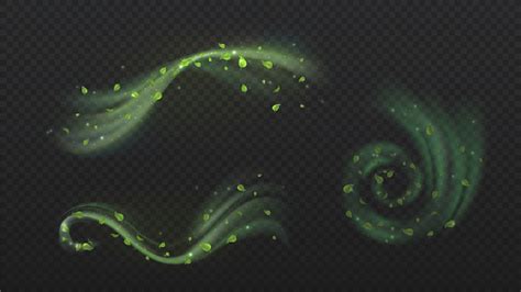 나뭇잎이 세팅 된 바람 바람에 나뭇잎과 잎을 민트합니다 생태 자연 및 환경 신선한 공기 흐름 사실적인 벡터 컬렉션 3차원 형태에 대한 스톡 벡터 아트 및 기타 이미지