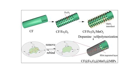 Surface Molecularly Imprinted Polymers On Multi Function Mno2 Decorated Magnetic Carbon