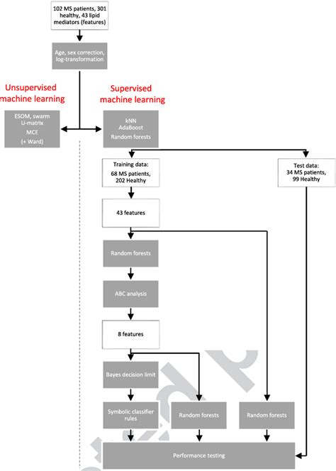 Flow Chart Of The Data Analysis The Figure Provides An Overview On The