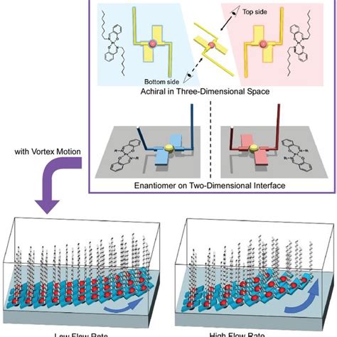 Molecular Aggregation Structures Exhibiting Circularly Polarized Download Scientific Diagram