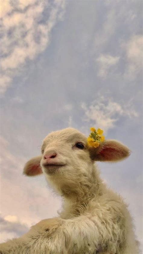 Mehak Rawattt Introvert Naturally Extrovert Selectively Instagram